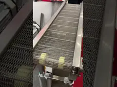 stainless steel conveyor belt machine