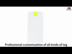 China Custom  Waterproof Blank  Shipping Tag Synthetic Paper Hang Tags. for sale