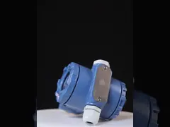 モデル2088 防爆型スマート水圧センサー、ブラックLCDディスプレイとバックライトオプション付き