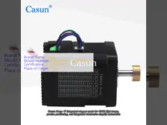 Casun Nema 17 Integrated Stepper Motor with Gear Customized Stepper Motor High Quality for CNC