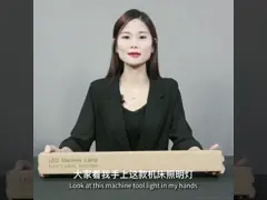 Ce Certification Good Quality Cnc Machine Tool Lighting Oil-Proof Explosion-Proof Working Lamp