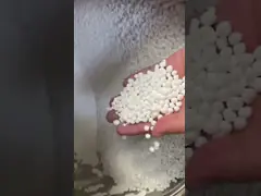 China High Quality 316L Stainless Steel Nuts Processing Machines Food Coating Machine for sale