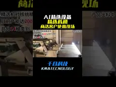 walnut kernel grading