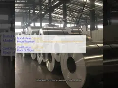 China Aluminum Alloy 1100 Anodized Aluminum Sheets (1.2–2.0mm) with Colored Anodized Coating for Curtain Wall Decoration for sale