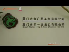 Cina Tazza da caffè a doppia parete da 16OZ per bevande calde, tè, espresso, cacao, contenitori per bevande da asporto, bar e ufficio in vendita