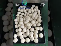 Cina P188 Macchina per incrostare a quattro tramogge per prodotti a sfera e multistrato a 3 ripieni, con tensione di 220V e peso di 400kg in vendita
