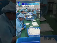 Briskspring 필터 카트리지 조립 생산 라인