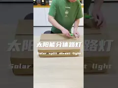 solar street light with separate panel