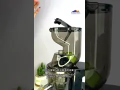 China Multifunctional Juice Squeezer Machine 500ml Black Automatic Juicer Machine for sale