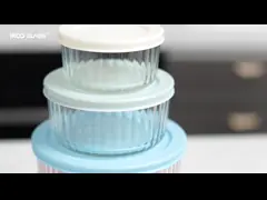 IKOO Ribbed Glass Food Container with PE Cover