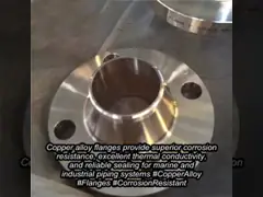 METAL Customized C71500 (70/30) Raised Face Weld Neck Flange Copper Nickel Cuni Flanges