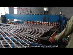 Hot Dipped Galvanized Concertina Barbed Security Wire for Military