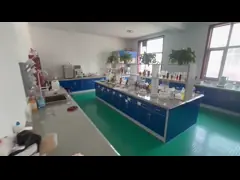 China Commercial Styrenated Acrylic Based Emulsion Paint Primer Weatherproof for sale