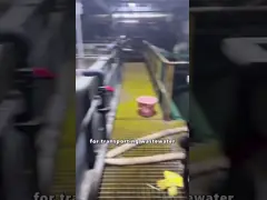 중국 스테인리스 스틸 공압 다이어프램 펌프 8.4bar 공압 피스톤 펌프 587L/분 판매용