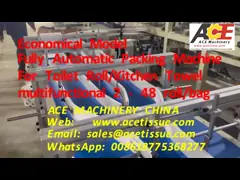 China Multifunctional Bathroom Tissue Packing Machine Quick Changeover Between Toilet Paper And Kitchen Towel Packaging for sale