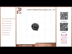 China #29 Diesel Control Valve Plate for Injector# 095000-500#/551#/4135/4152/4157/6650/5504 for sale