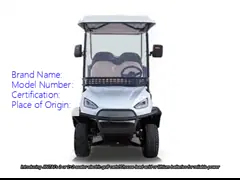 2-seater / 2+2-seater Electric Golf Carts Lead-acid battery / Lithium battery