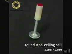 round steel ceiling nail 1
