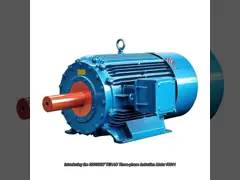 20000kw TEAAC  Three-phase induction motors IC611