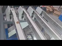 Walnut Sorting Part1