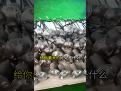 Qual è il grado IP necessario per le lampade da parete in climi piovosi?