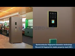 266±2kg Fingerprint Lock Commercial Safe Box with Patent Solid Bolts Adjustable Shelves