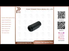 China Diesel Auto Fuel Engine Diesel Injector Nozzle Nut Cap For Injector A2C59513596/5WS40253 77550 A2C59515264 for sale