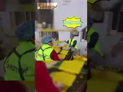 China Electrical Comb Foundation Machine Of Beeswax Foundation Machine For Beekeeping Equipment for sale