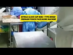 China Horizontal Pouch Packing Machine Premade Powder Horizontal Bagging Machine 380V for sale