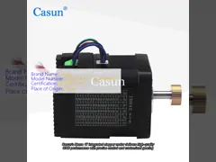 Casun Nema 17 Integrated Stepper Motor with Gear Customized Stepper Motor High Quality for CNC