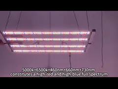 400W-B