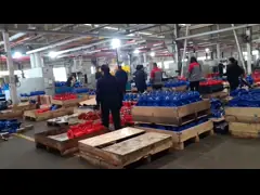 China Cast Iron Nrs Resilient Seat Wedge Gate Valve for sale