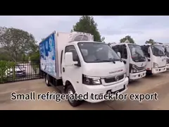 China Light Weight Transport Fresh Fish and Fruit Freezer Refrigerator Vehicle 3 4 5 Truck Van for sale