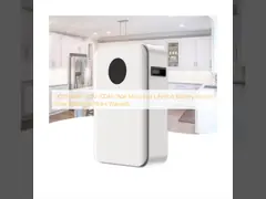 China 5KWh 48V 51.2V 100Ah Wall Mounted LiFePo4 Battery Home Solar Battery 5 Years Waranty for sale
