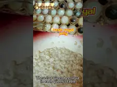 Prodotto 20kgs Jelly Pure Fresh Queen Food reale fresca organica dell'ape