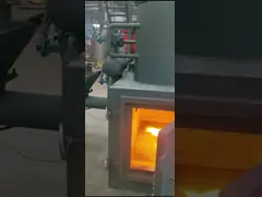 중국 안전 처분 애완 동물 소각기 사이클론 분리기 습기 청소기 스테인레스 스틸 판매용