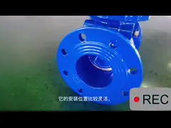 Ductile Iron Flange Check Valve Metal Valve PN16 DN100 One-Way Valve