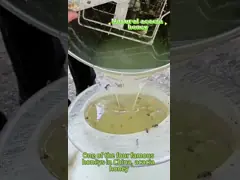 Miele di Acacia Biologico Bianco - Miele naturale di prima qualità