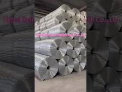 Ten Lines Pipeline Reinforced Welded Wire Mesh Anti Rust For Everglades Gas Pipeline							
