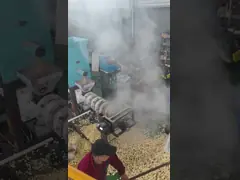 Multifunction Stainless Steel Full Automatic Pet Food Extruder / Feed Pellet Extruder