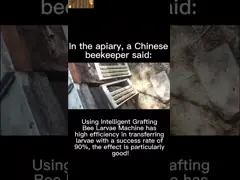 China Queen Bee Artificial Insemination Equipment Standard Version with Kits for Agricultural Experiment for sale