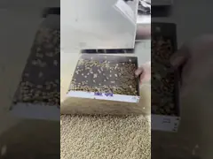 China Healthier Pellet  Dog Food Production Line SUS304 Floating Fish Feed Extruder Machine Processing Plant for sale