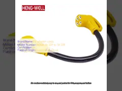 China 50 Amp 100-Foot Waterproof Outdoor RV Extension Cable 14-50P/14-50R Copper Conductor 250V NEMA STW AC Power Cord Sjtw Wire Type for sale