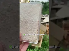 Introduce 500g Natural Comb Honey Multi-Flower Light Yellow Food Grade For You