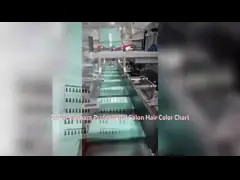 SHUJI Custom Professional Salon Hair Color Chart OEM/ODM Hot Sale Book with Permanent Fashion Protei