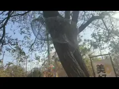 China Balustrade Cable Mesh 1.6mm Stainless Steel Rope Mesh for Bridges Buildings Zoos for sale