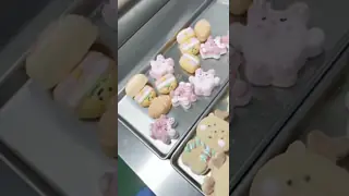Home Freeze Dryer