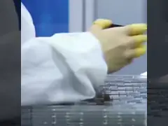 LCD production line