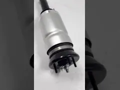 China RNB501580 Front Air Suspension Parts for Land Rover Discovery 3 with Steel Material and OEM Standard Size by PSQ for sale