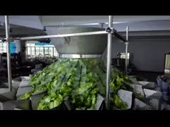 Veja Por Que Escolher a Máquina de Embalagem de Sacos Pré-Fabricados de Sementes de Abóbora, Máquina de Pesagem e Embalagem de Sacos com Zíper